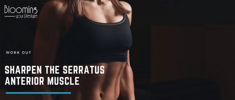 Serratus Anterior Strengthening Exercises | Benefits of Serratus Anterior