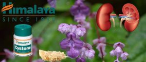 Himalaya Cystone | Ingredients | Health Benefits | Side Effects | Dosage
